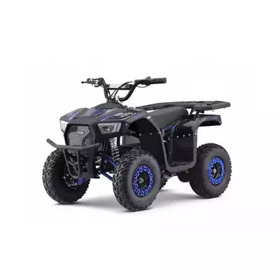 Quad spalinowy dla dzieci - Mini quady 49, 110 , 125 cc
